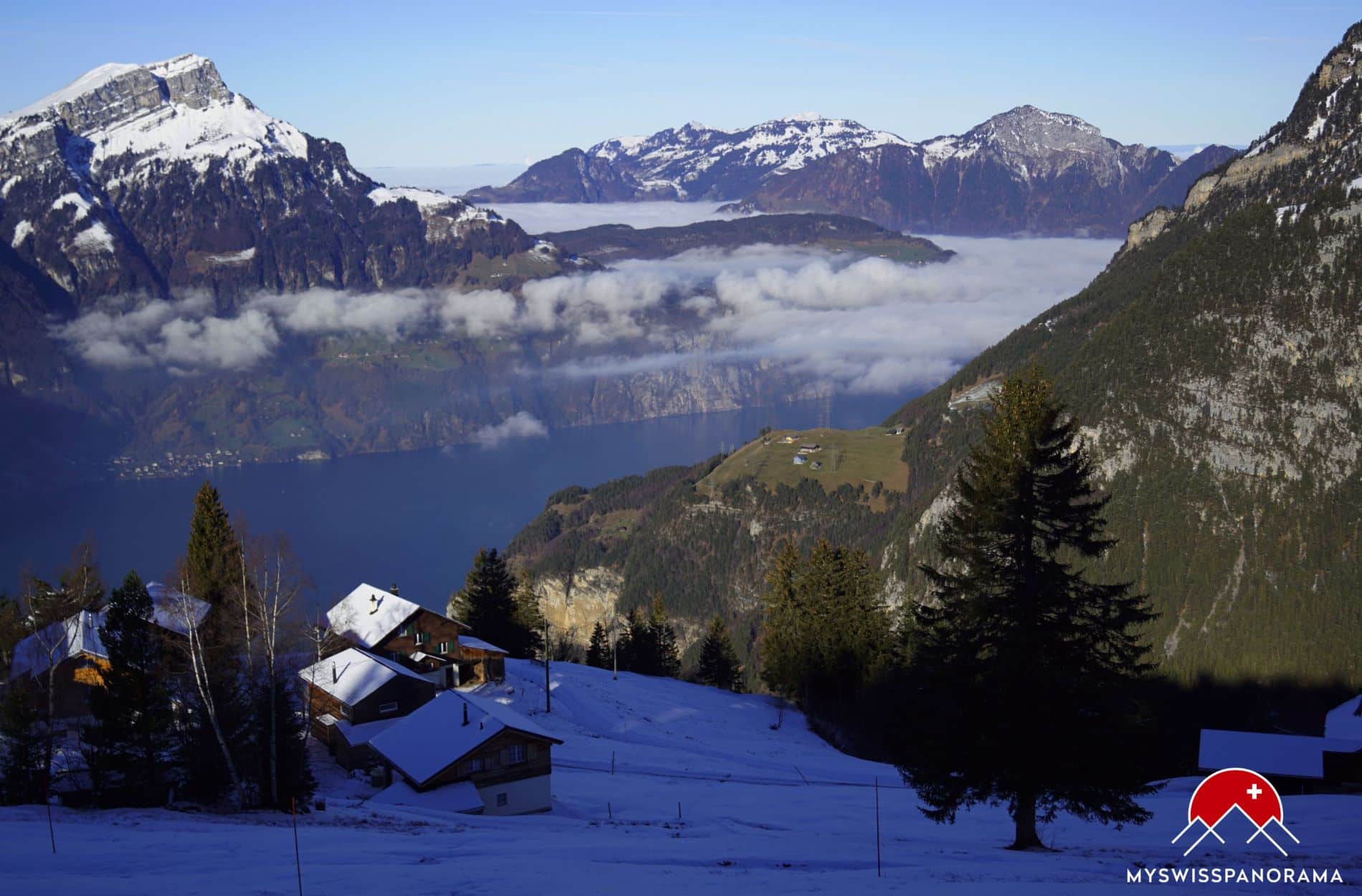 Winter wonders over Lake Uri (Central Switzerland) | Myswisspanorama